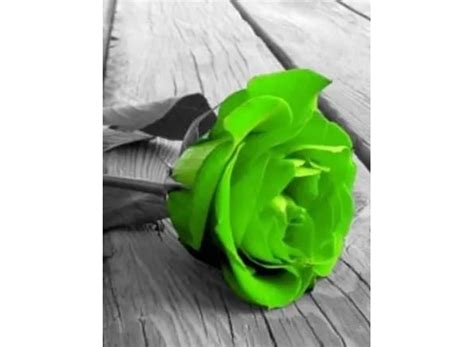 Rita Mcclain Obituary 2025 Medford Or Conger Morris Funeral