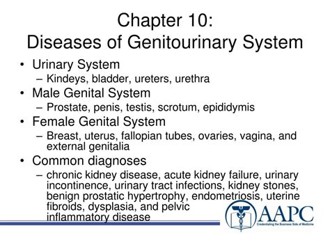 PPT ICD 9 CM Coding Chapters 10 19 PowerPoint Presentation Free Download ID 1021255