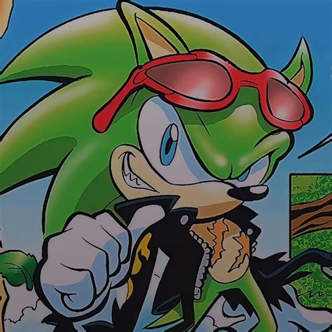 Scourge The Hedgehog Pfp