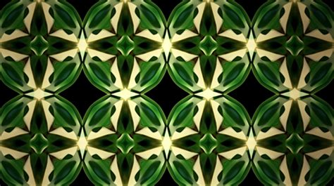 Continuous Black Pattern With Geometric Grid Texture As Background