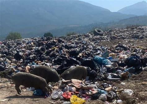 Denoncim Mali Me Plehra Panorama E Zymtë E Or Syri Lajmi I Fundit