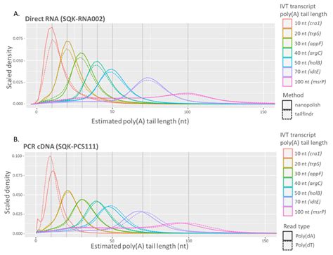 Accurate Polya Tail Length Estimation For Direct Rna Sequencing Sqk