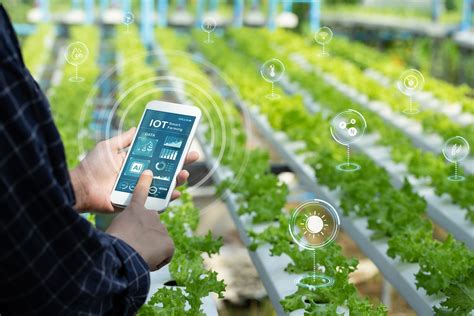 prototyping and testing for the iot methodologies and tools the