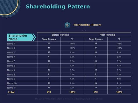 Shareholding Pattern Ppt Powerpoint Presentation Infographic Template