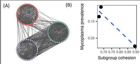 Fig S High Subgroup Cohesion Can Induce Structural Delay Of