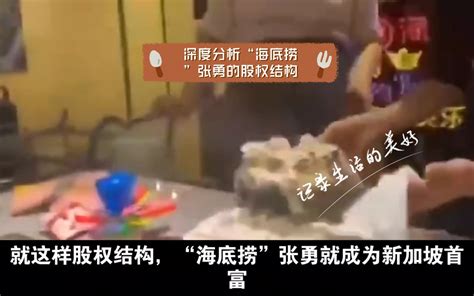 深度分析“海底捞”张勇的股权结构 Dongyuanli Dongyuanli 哔哩哔哩视频