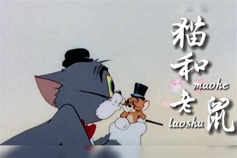 猫和老鼠：大猫挥金如土，生活极度奢靡，竟连老鼠也沾了光生活老鼠