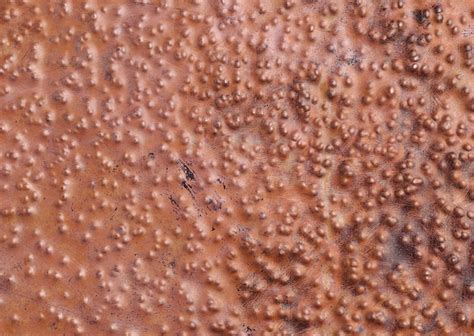 Premium Photo Metal Background Or Texture