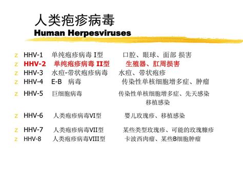 生殖器疱疹 Genital Herpes 浙江省人民医院皮肤科 Ppt Download