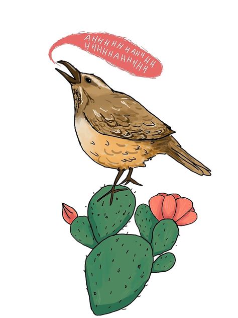 Screaming Cactus Wren By Spaceguad Redbubble