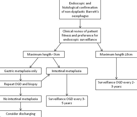 Barretts Oesophagus How Should We Manage It Frontline Gastroenterology