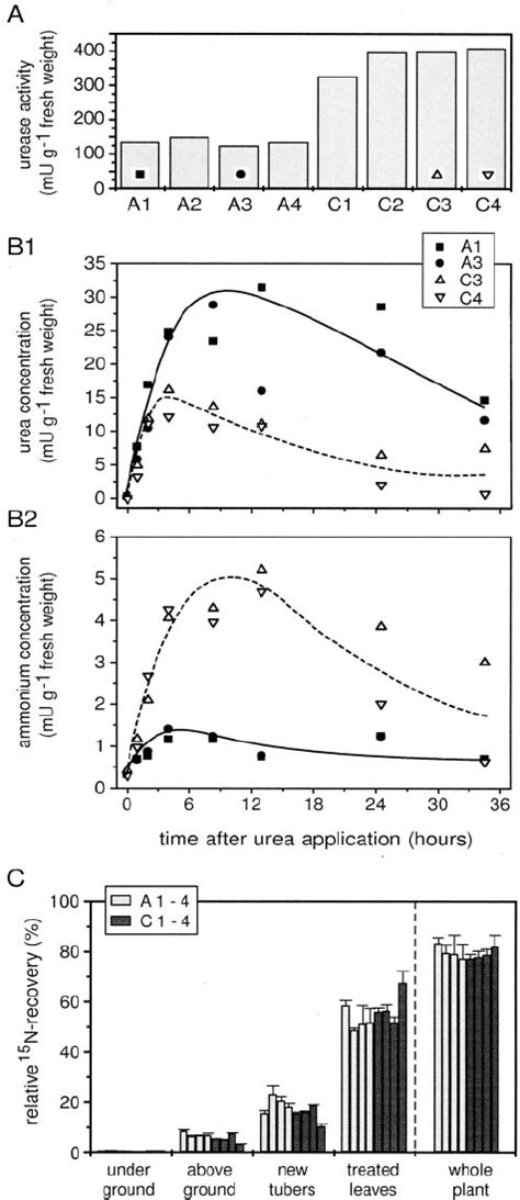 Ureaammonium Accumulation And N Distributionlosses After Urea