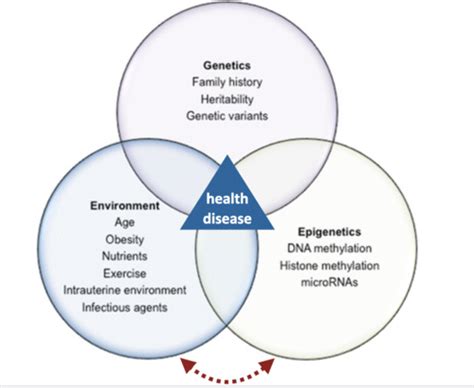 Mcb Final Flashcards Quizlet Mcb Final Flashcards Quizlet
