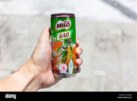Hand Holding A Can Of Nestlé Milo Gao Drink Against White Wall