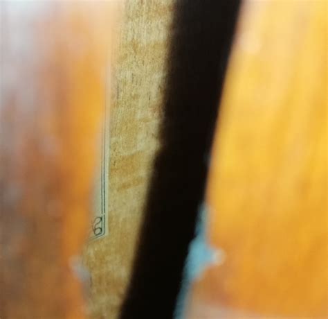 How Can Indentation Of The Shape L Form On The Back Of A Violin