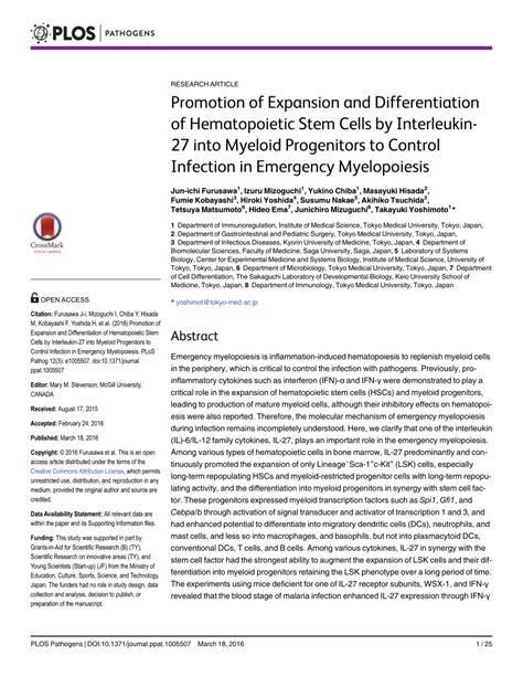 Pdf Promotion Of Expansion And Differentiation Of Hematopoietic Stem