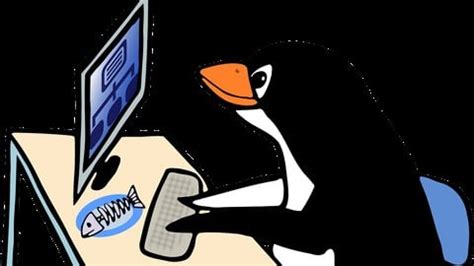 Udemy Linux Fundamentals Debian Ubuntu ZFS And GlusterFS