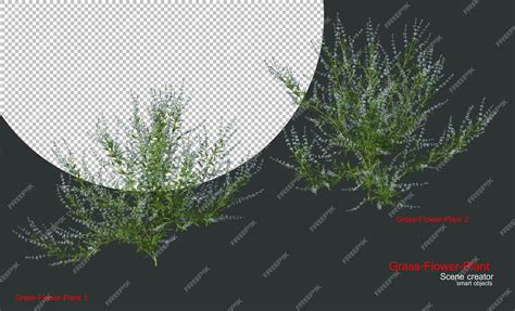 Premium Psd A Variety Of Grasses And Plants
