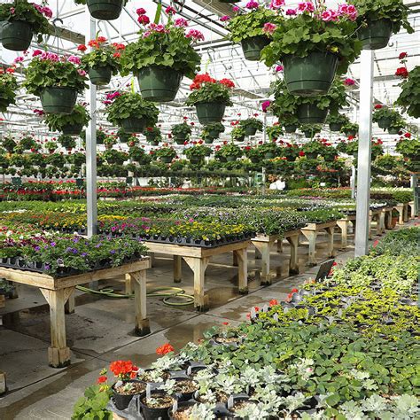 First Visit Wallacegardencenter