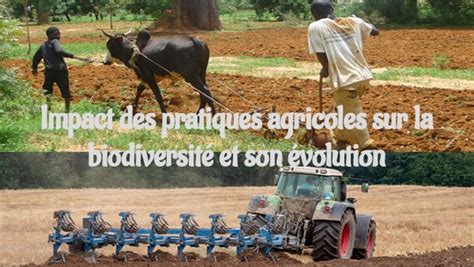 Impact Des Pratiques Agricoles Sur La Biodiversité Et Son évolution