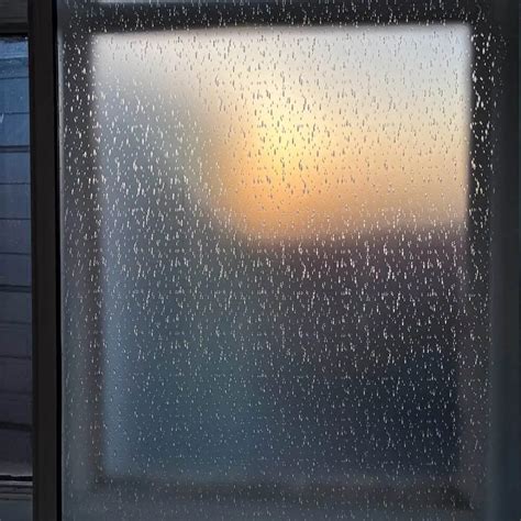 Seeded Frost Window Film Surface Designs
