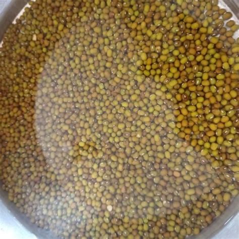 Green Moong Sprouts Salad Sprouted Moong Salad Seasonal Flavours