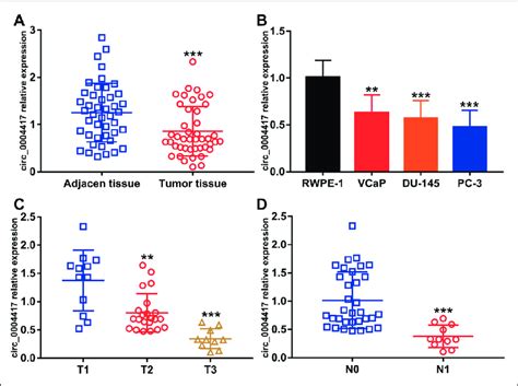 Circ0004417 Was Down Regulated In Pc Tissues And Cells A