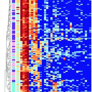 Single Cell Heat Map Of INS DRIP Specific CD8 T Cells The First