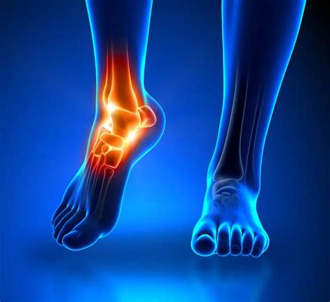 Foot And Ankle Libberton