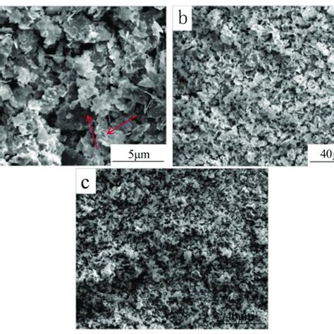 Scanning Electron Microscope Micrographs Of Nbsic Composite Powders