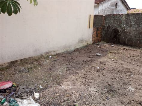 Pai matou e enterrou filha no quintal de casa diz polícia Farol de
