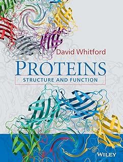 Proteins Essential Building Blocks Of Life And Cell Function MedShun