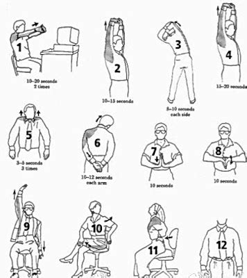 Correct And Effective Techniques For Office Exercises Every Health