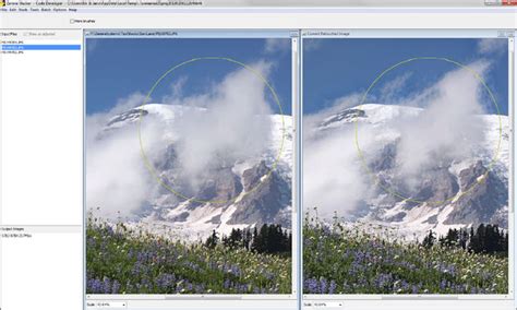 Stacker Docs Tutorials Stackinglandscapes Zerene Stacker