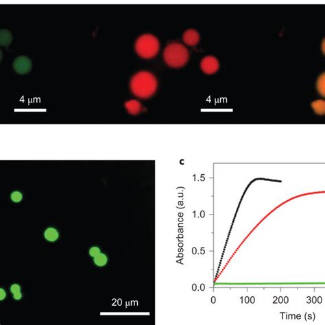 Polymer Cubosomes Of 3223 A B Hr Sem Images Showing The Internal