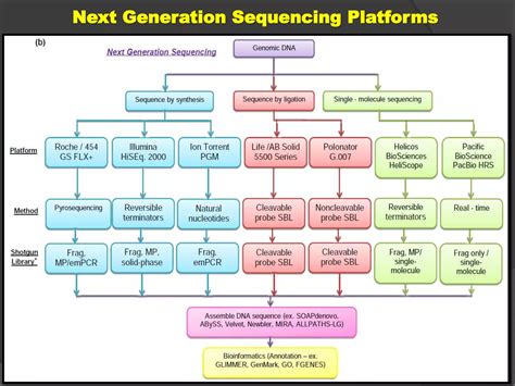 Next Generation Sequencing Technologies And Their Applications In Ornamental Crops Pptx