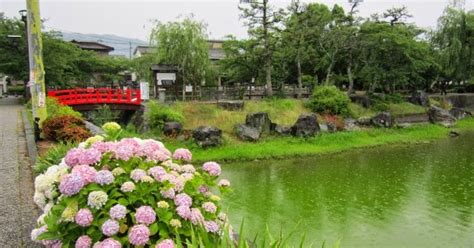 桃山日記 梅雨寒つゆざむ