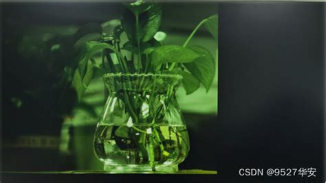 Fpga Pal视频bt656解码video Processing Subsystem去隔行 Tw2867采集 提供工程源码和技术支持pal视频信号解码芯片 Csdn博客