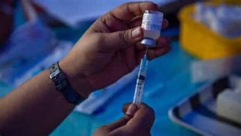 Over 96 Crore Covid Vaccine Doses Administered In India So Far Govt