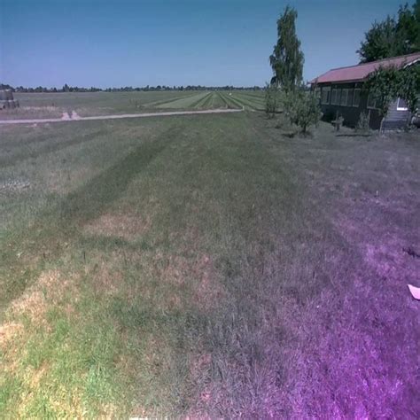 Birds Object Detection Dataset By Birds