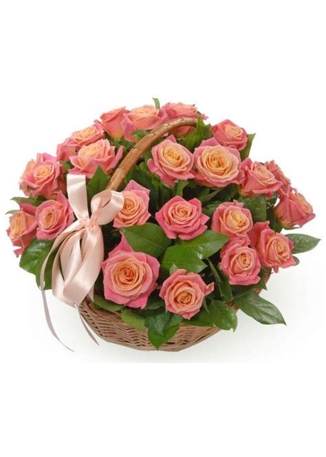 Flowers | Наружный ящик для растений с цветами, Цветы день рождения, Цветок