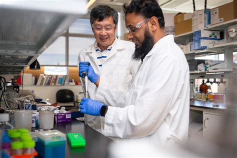 New Mouse Model Could Accelerate Longevity Research