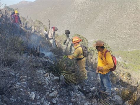 Incendio en Sierra de Zaragoza ha consumido 80 hectáreas de vegetación