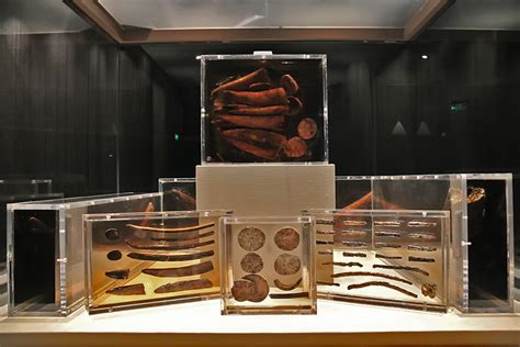 【成都——金沙遗址博物馆（3 5展厅）摄影图片】纪实摄影依山的天空太平洋电脑网摄影部落