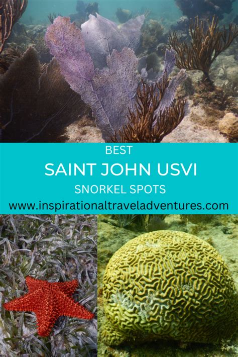 Snorkels St John At Johnny Moe Blog