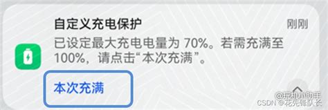 智能充电模式,治好了我多年的充电焦虑自定义充电模式是不是充到数就不充了 Csdn博客 智能充电模式,治好了我多年的充电焦虑自定义充电模式是不是充到数就不充了 Csdn博客