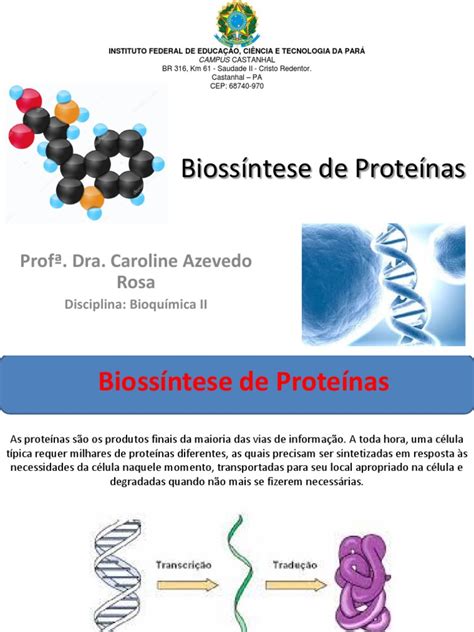 Biossíntese De Proteínas Pdf