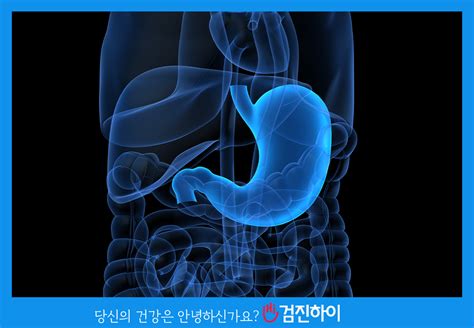 2020년 위암 대장암 간암 자궁경부암 유방암 폐암 검진 대상자 건강검진정보