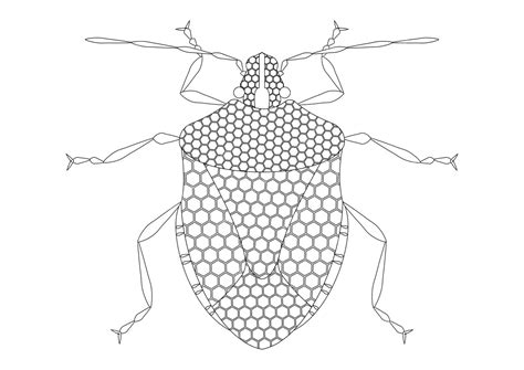 Premium Vector Black And White Stink Bug Clipart Vector Isolated On