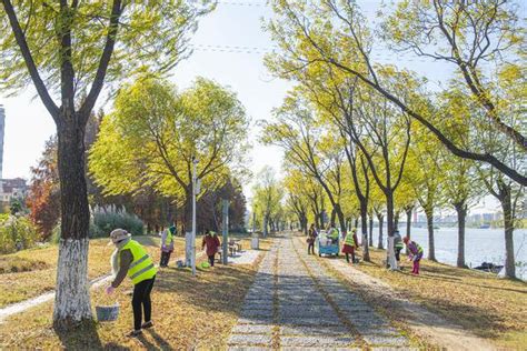 江苏宿迁：树木涂白“穿冬衣”